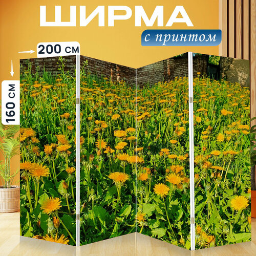 Ширма перегородка с принтом "Поляна, цветы, одуванчики" на холсте - 200x160 см. для зонирования, раскладная