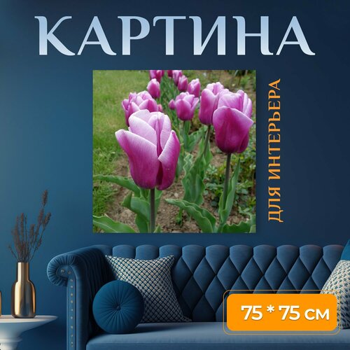 Картина на холсте "Тюльпаны, цветы, сад" на подрамнике 75х75 см. для интерьера