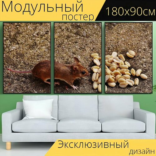 Модульный постер "Мышь, грызун, милый" 180 x 90 см. для интерьера