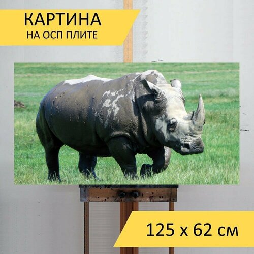 Картина на ОСП 125х62 см. "Носорог, природа, дикая природа" горизонтальная, для интерьера, с креплениями