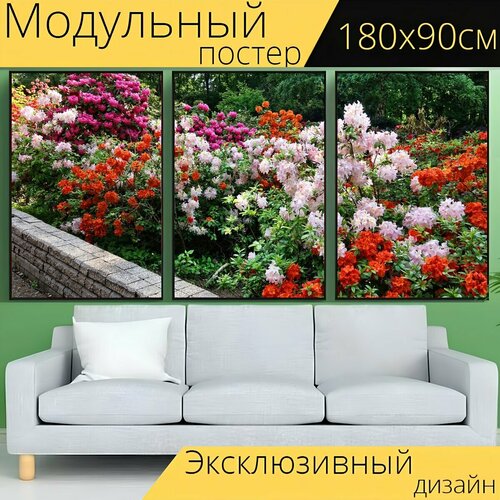 Модульный постер "Рододендрон, кустарник, цветок" 180 x 90 см. для интерьера