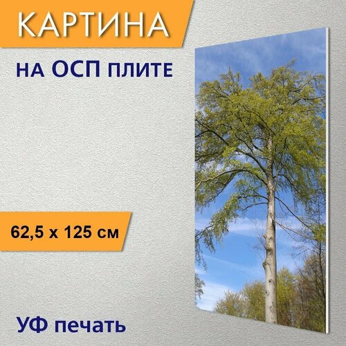 Вертикальная картина на ОСП "Бук, лес, деревья" 62x125 см. для интерьериа