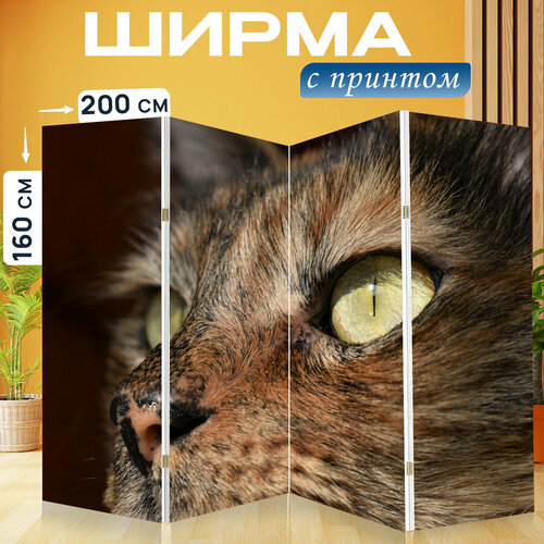 Ширма перегородка с принтом "Кошка, кошачий, браун" на холсте - 200x160 см. для зонирования, раскладная