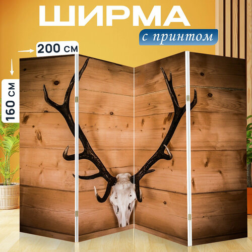 Ширма перегородка с принтом "Рога, череп, харт" на холсте - 200x160 см. для зонирования, раскладная