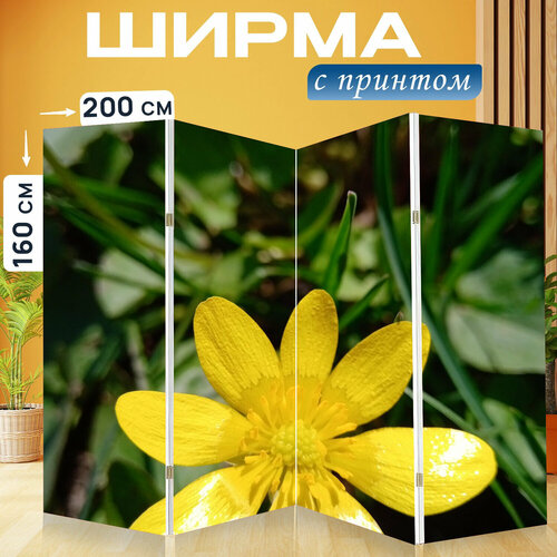 Ширма перегородка с принтом "Цветок, желтый, летом" на холсте - 200x160 см. для зонирования, раскладная