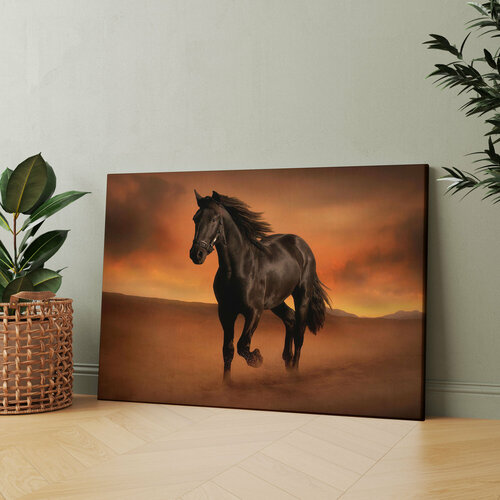 Картина на холсте (Черная лошадь, животные, пустыня, вечер) 30 40 см/для интерьера/на стену/в комнату