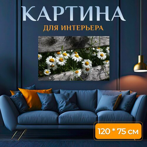 Картина на холсте "Маргаритки, цветок, летом" на подрамнике 120х75 см. для интерьера