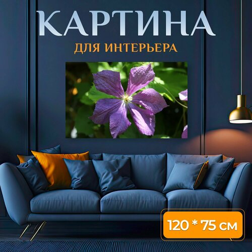 Картина на холсте "Цветок, фиолетовый, летом" на подрамнике 120х75 см. для интерьера