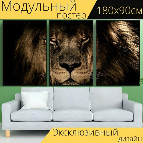Модульный постер "Африканский лев, дикая кошка, кошачий" 180 x 90 см. для интерьера
