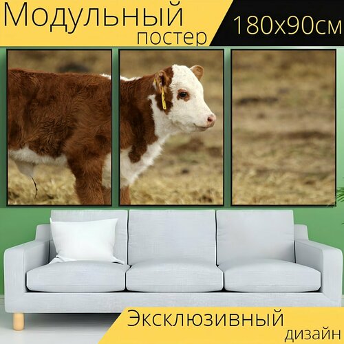 Модульный постер "Корова, телец, браун" 180 x 90 см. для интерьера