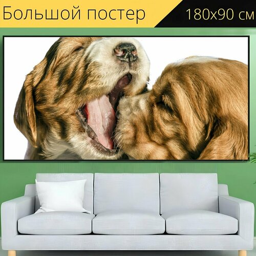 Большой постер "Щенки, собака, животное" 180 x 90 см. для интерьера