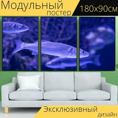 Модульный постер "Рыба, рыбы, море" 180 x 90 см. для интерьера