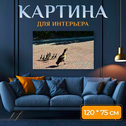 Картина на холсте "Гуси, египетские гуси, гусят" на подрамнике 120х75 см. для интерьера