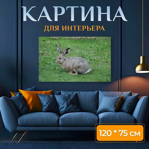Картина на холсте "Заяц, кролик, трава" на подрамнике 120х75 см. для интерьера