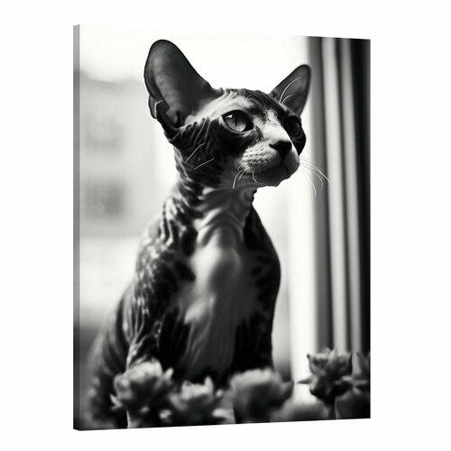 Интерьерная картина 50х70 "Кошка-сфинкс: загадочная красота"