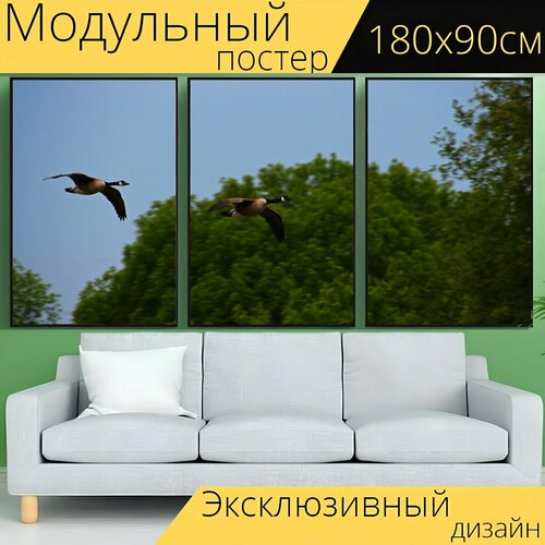 Модульный постер "Гусь, птица, утка" 180 x 90 см. для интерьера