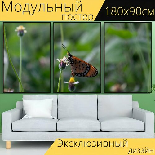 Модульный постер "Бабочка, цветы, опылять" 180 x 90 см. для интерьера