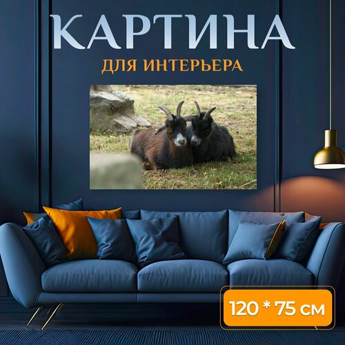 Картина на холсте "Козы, козел" на подрамнике 120х75 см. для интерьера