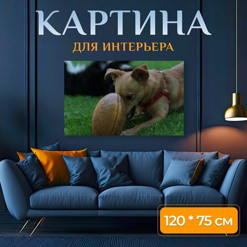 Картина на холсте "Собака, мяч, счастье" на подрамнике 120х75 см. для интерьера