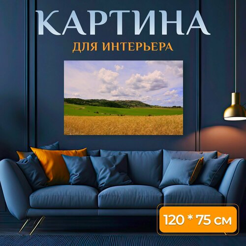 Картина на холсте "Пшеница, поле, сельское хозяйство" на подрамнике 120х75 см. для интерьера