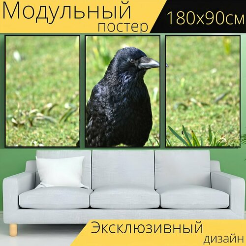 Модульный постер "Ворона, птица, животное" 180 x 90 см. для интерьера