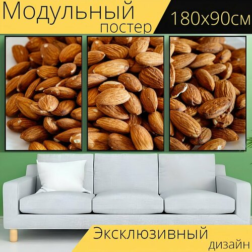 Модульный постер "Миндальные орехи, орехи, спелые" 180 x 90 см. для интерьера