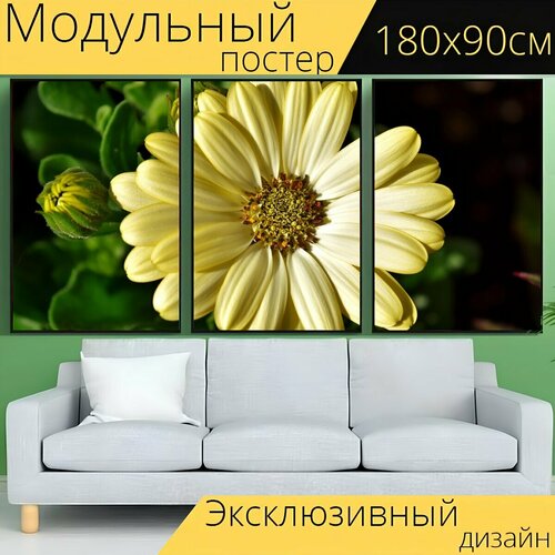 Модульный постер "Цветок, летом, нежный желтый" 180 x 90 см. для интерьера
