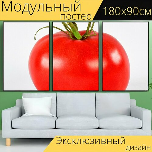 Модульный постер "Помидор, красный, овощей" 180 x 90 см. для интерьера