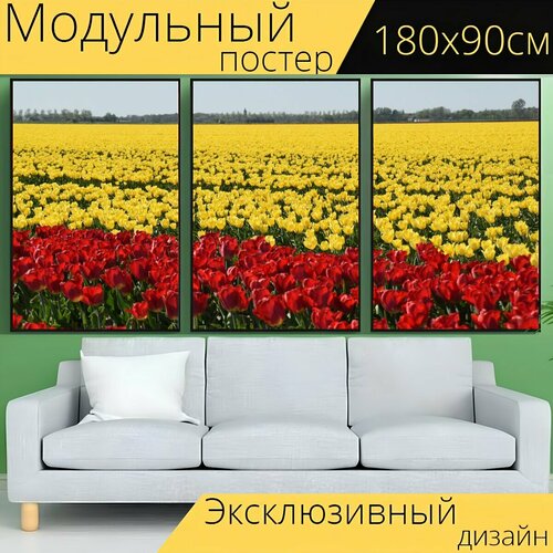 Модульный постер "Дирксланде, тюльпаны, красный" 180 x 90 см. для интерьера