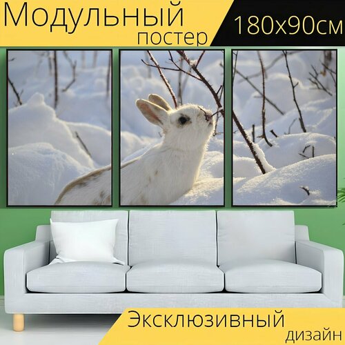 Модульный постер "Кролик, дикий, животное" 180 x 90 см. для интерьера