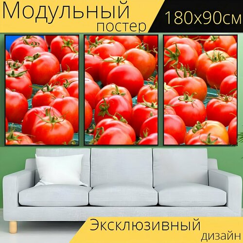 Модульный постер "Свежие заготовленные помидоры, свежие помидоры, помидоры" 180 x 90 см. для интерьера