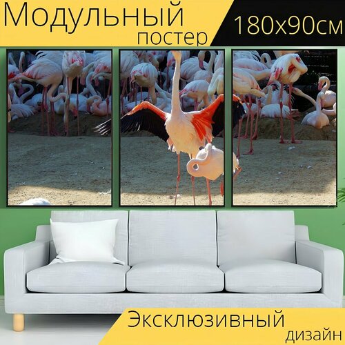Модульный постер "Фламинго, правило, зоопарк" 180 x 90 см. для интерьера