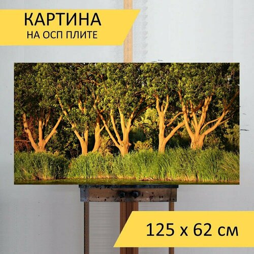 Картина на ОСП 125х62 см. "Старое дерево, корявый, филиал" горизонтальная, для интерьера, с креплениями