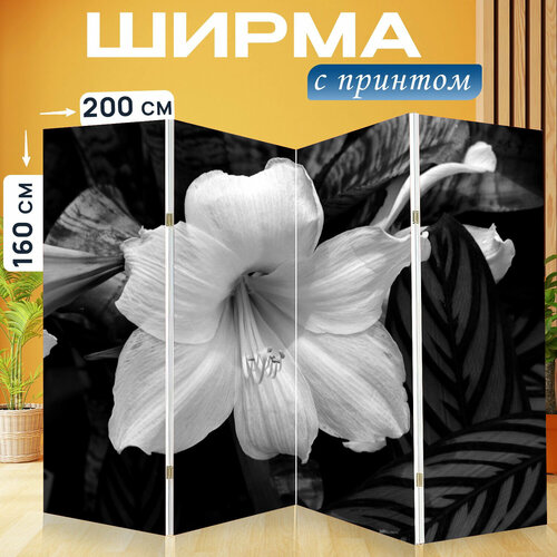 Ширма перегородка с принтом "Лилия, цветочный, сад" на холсте - 200x160 см. для зонирования, раскладная