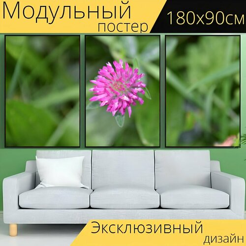 Модульный постер "Цветок клевера, цветок, завод" 180 x 90 см. для интерьера