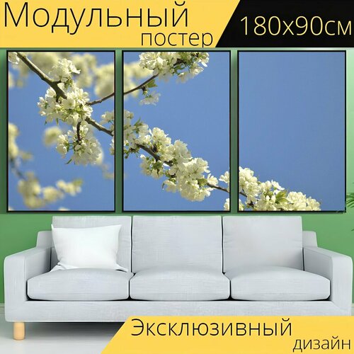 Модульный постер "Вишни в цвету, расцветает, вишневое дерево" 180 x 90 см. для интерьера