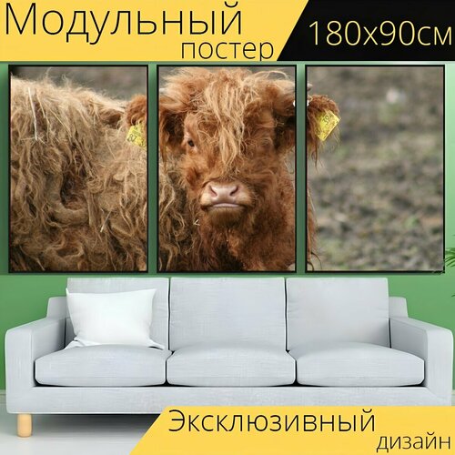 Модульный постер "Корова, говядина, сельское хозяйство" 180 x 90 см. для интерьера