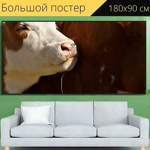 Большой постер "Корова, телец, милый" 180 x 90 см. для интерьера