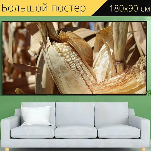 Большой постер "Початок, кукуруза, сельское хозяйство" 180 x 90 см. для интерьера