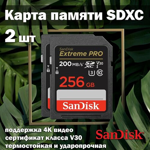 Карта памяти SanDisk Extreme PRO V30 SDXC 256GB 2 шт.