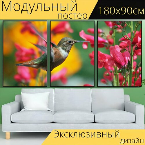 Модульный постер "Колибри, птица, цветы" 180 x 90 см. для интерьера