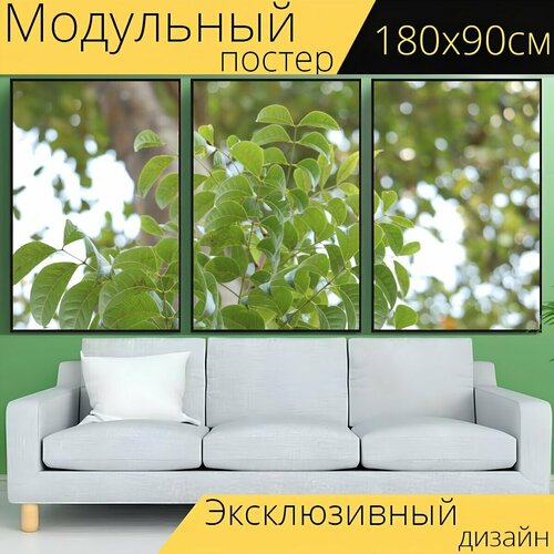 Модульный постер "Зеленый, природа, листья" 180 x 90 см. для интерьера