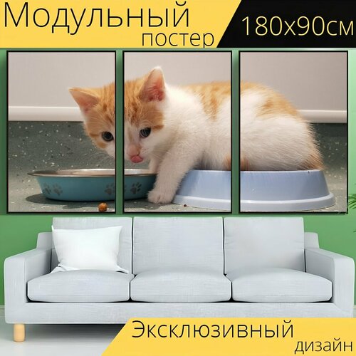 Модульный постер "Котенок, кошка, китти" 180 x 90 см. для интерьера