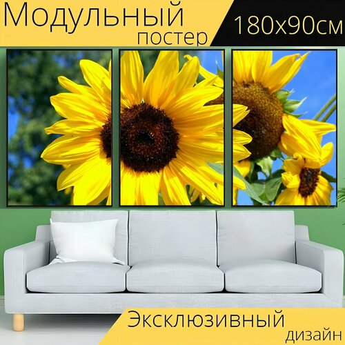 Модульный постер "Солнечный цветок, желтый, цвести" 180 x 90 см. для интерьера