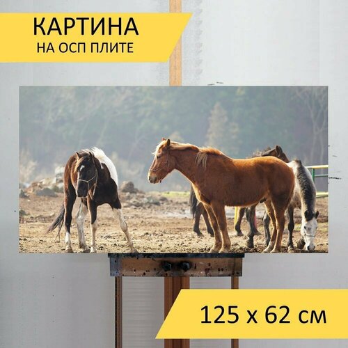 Картина на ОСП 125х62 см. "Лошадь, ранчо, животное" горизонтальная, для интерьера, с креплениями