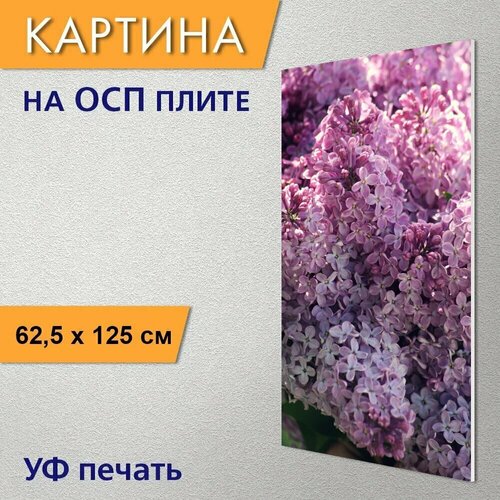 Вертикальная картина на ОСП "Орган, цветок, природа" 62x125 см. для интерьериа