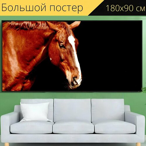 Большой постер "Лошадь, коричневый, портрет" 180 x 90 см. для интерьера