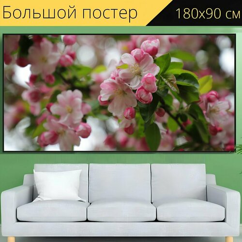 Большой постер "Китайский цветения яблони, розовый, цветок" 180 x 90 см. для интерьера
