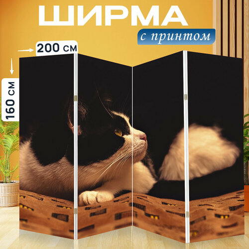 Ширма перегородка с принтом "Кот, питомец, котёнок" на холсте - 200x160 см. для зонирования, раскладная