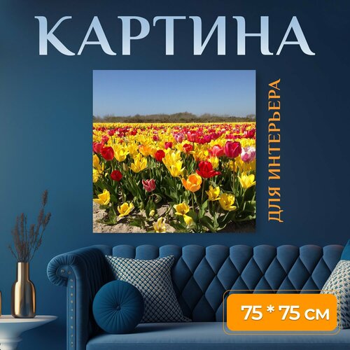 Картина на холсте "Тюльпаны, цветение, бретань" на подрамнике 75х75 см. для интерьера
